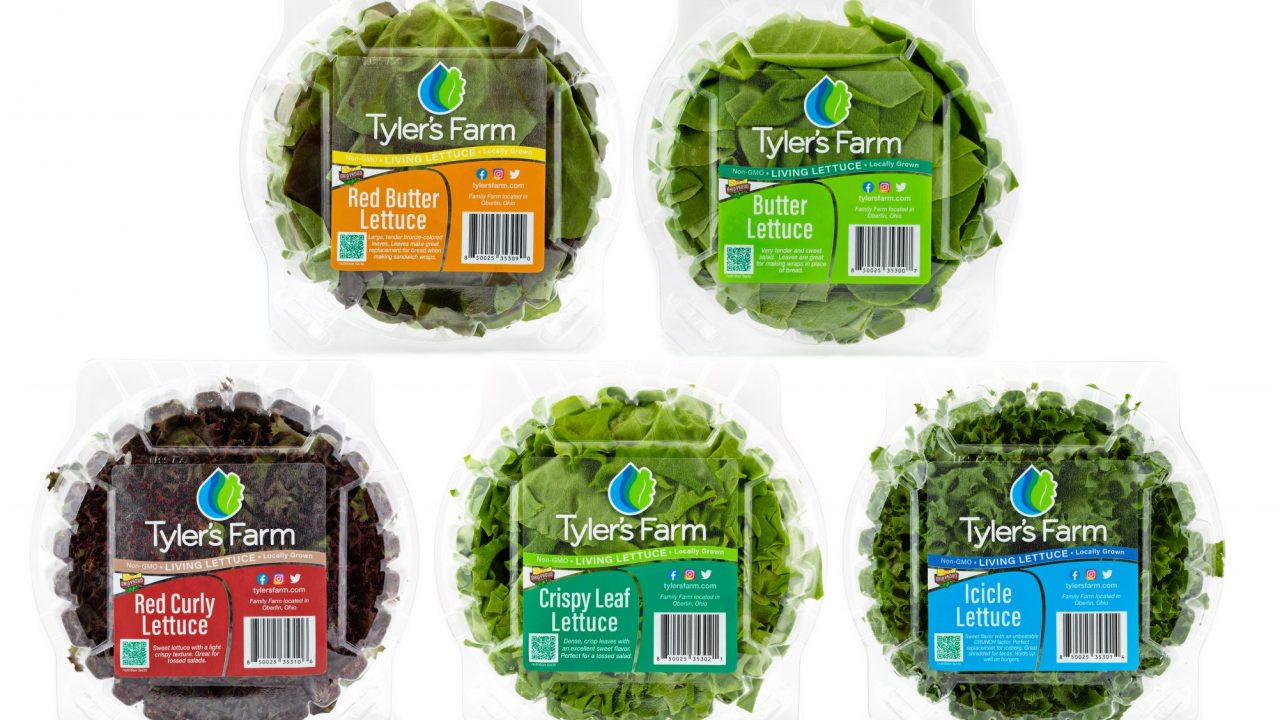 samples | aha creative